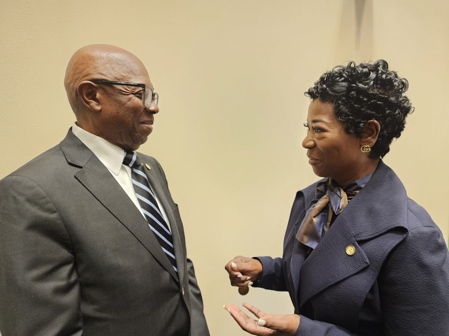 Dallas’ New City Manager Kimberly Bizor Tolbert - Southern Dallas Magazine